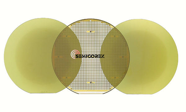 Semicorex | CVD Coating, Ceramic, Semiconductor Component